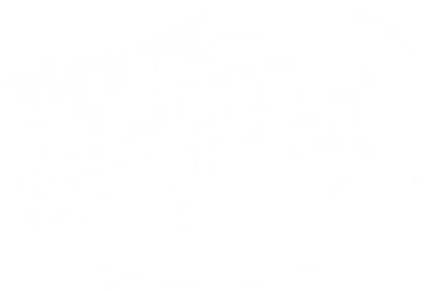 VAPOR – Tech Union Solution